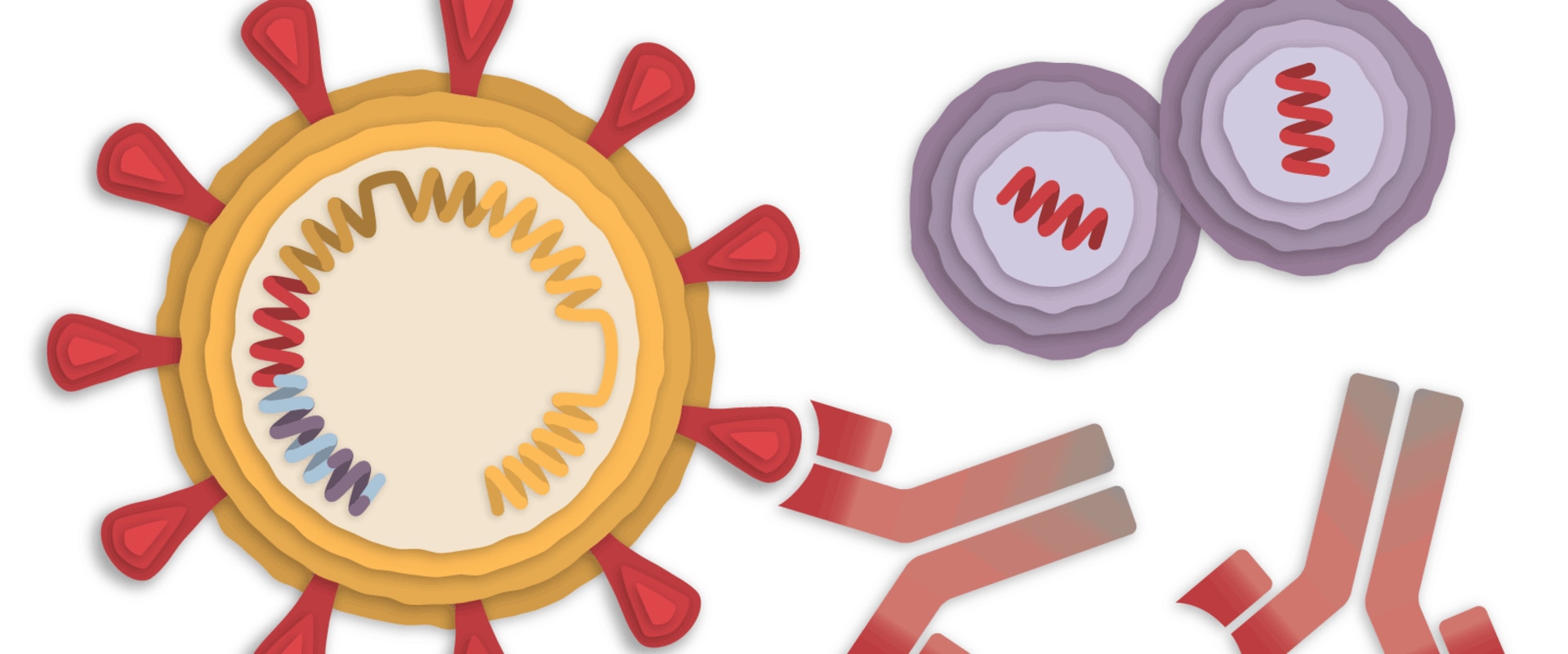 Building Immunity Against COVID-19: Vaccines and Other Options